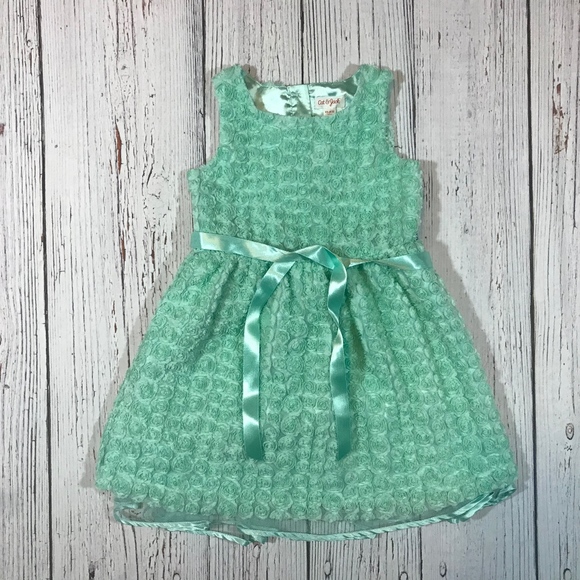 Cat & Jack | Dresses | Girls Cat N Jack Mint Rosette Dress | Poshmark